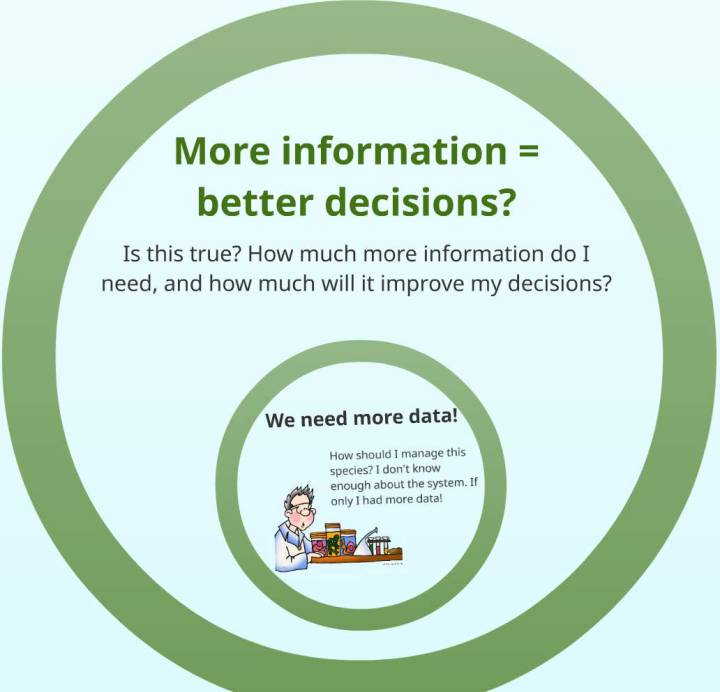 The Value of Information: Does More Data Mean Better Decisions ...