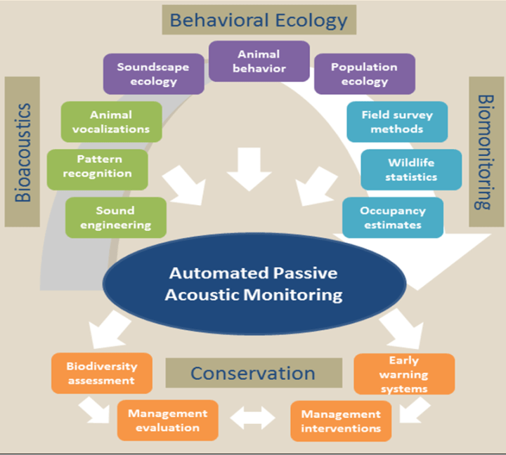 Progress and Future Directions for Passive Acoustic Monitoring ...