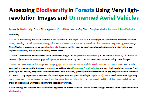 Maximising the Exposure of Your Research: Search Engine Optimisation ...