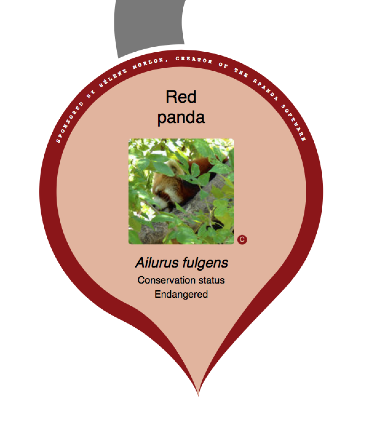 RPANDA: A Time Machine for Evolutionary Biologists – Methods Blog