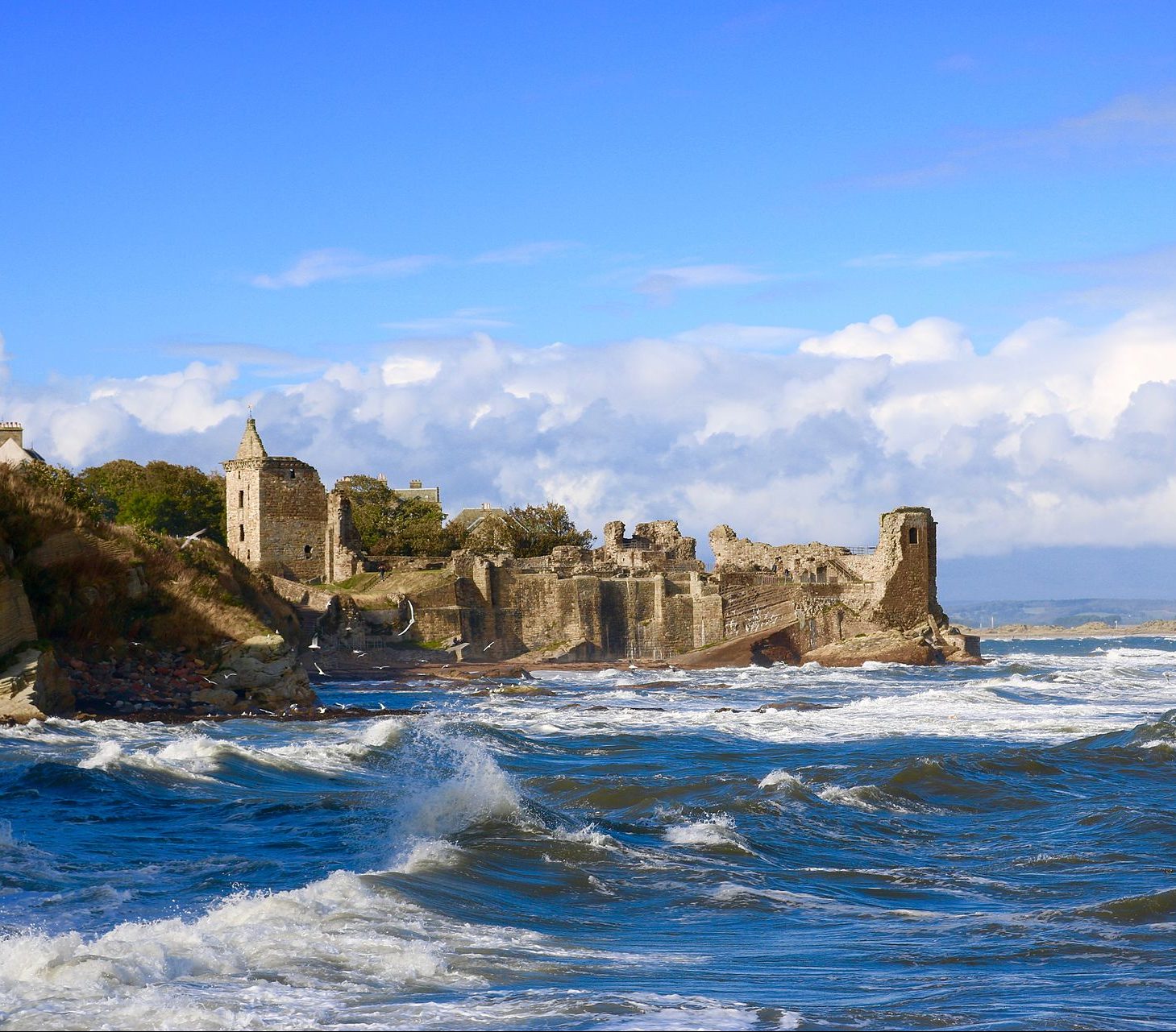 BES Macroecology 2018: Macroecology and Data – Methods Blog