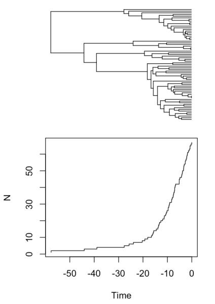 Introducing fishtree and fishtreeoflife.org – Methods Blog