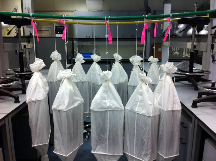 What Biases Could Your Sampling Methods Add to Your Data? – Methods Blog