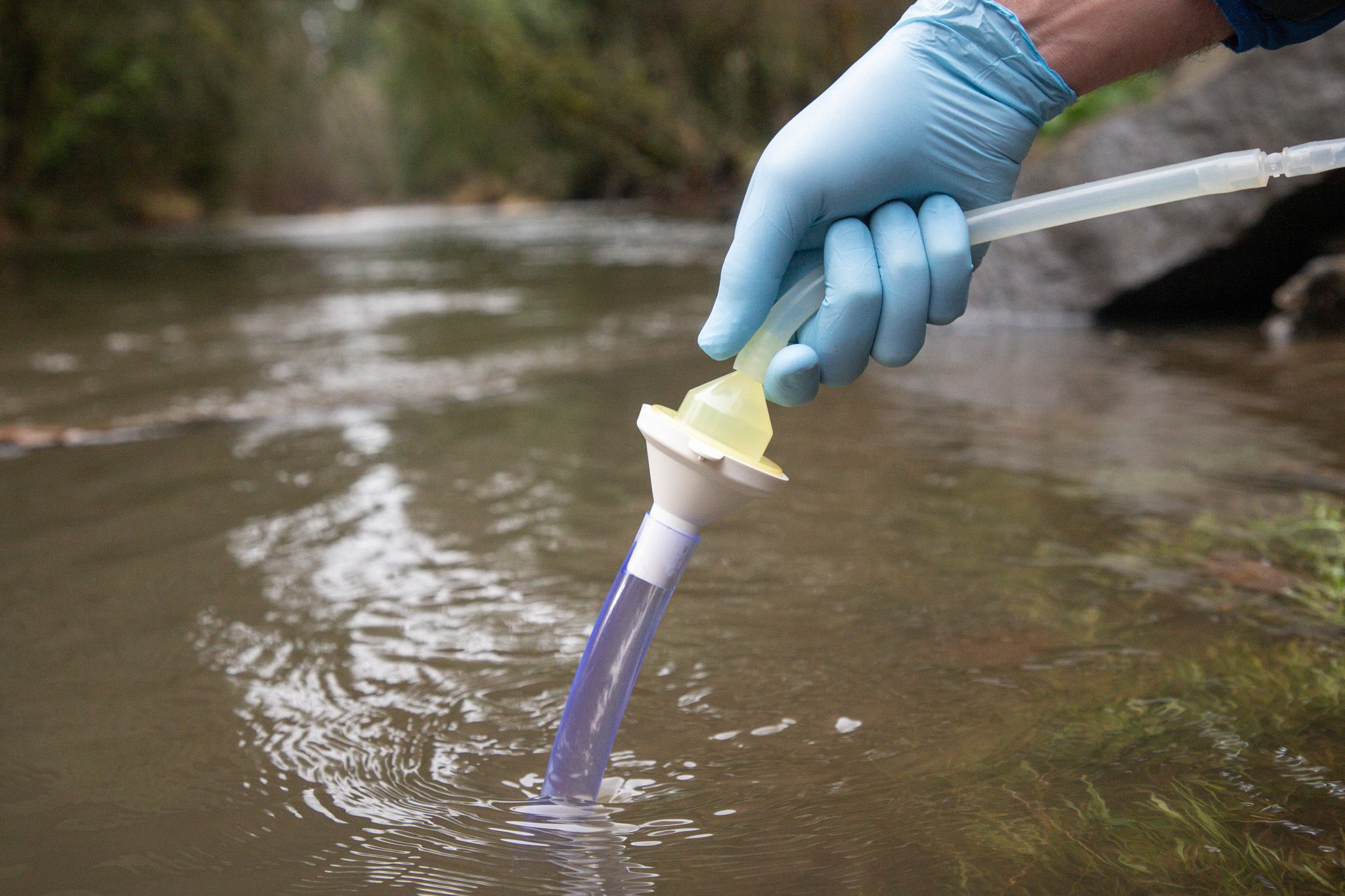 Issue 10.8: Invertebrates, DNA Tech, Acoustic Ecology and More ...