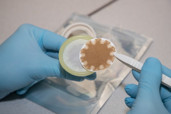 Making a Self-Preserving eDNA Filter – Methods Blog