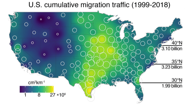 Using Artificial Intelligence to Track Birds’ Dark-of-Night Migrations ...