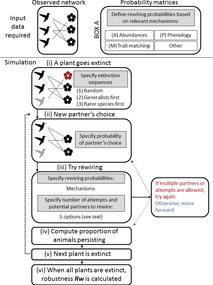 Reconnecting the Web of Life: Rewiring and Network Robustness – Methods Blog