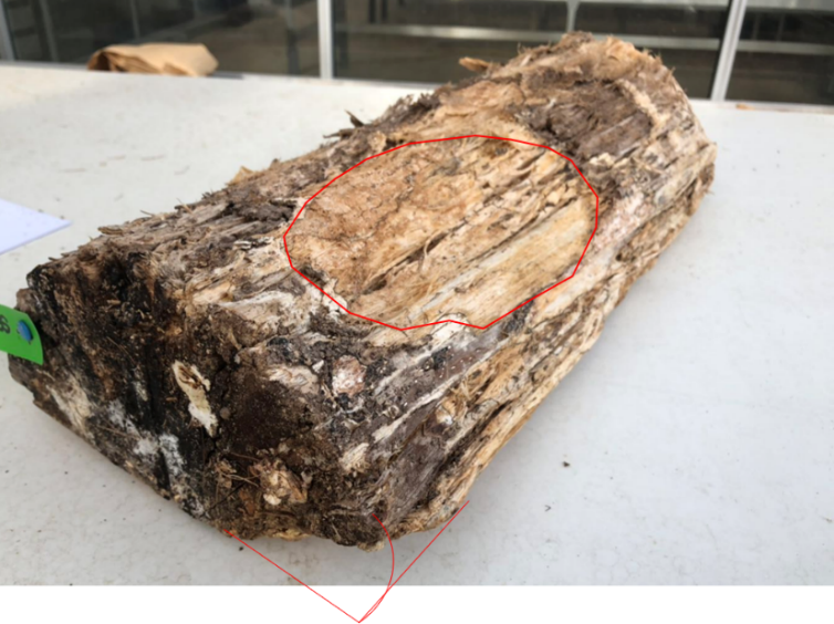 Methodology matters for comparing coarse wood and bark decay rates ...