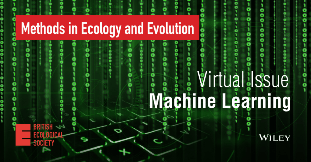 2020 – Methods Blog