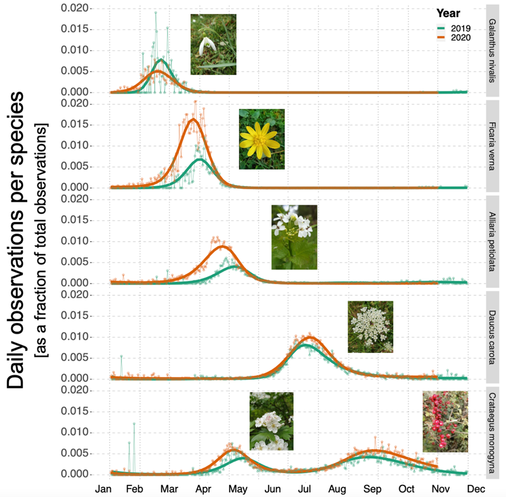 Flora Incognita – more than just a plant identification app – Methods Blog