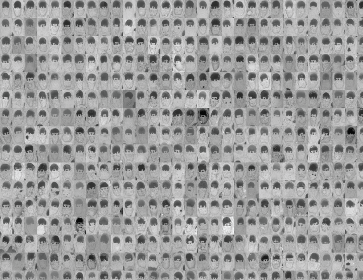 The need to quantify complex shapes – Methods Blog