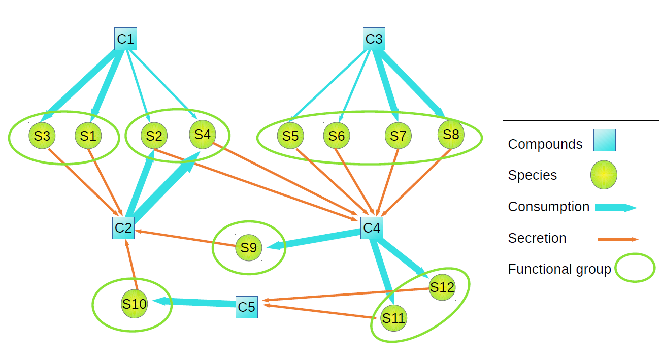 The quest for a sharp definition of function in biological networks ...