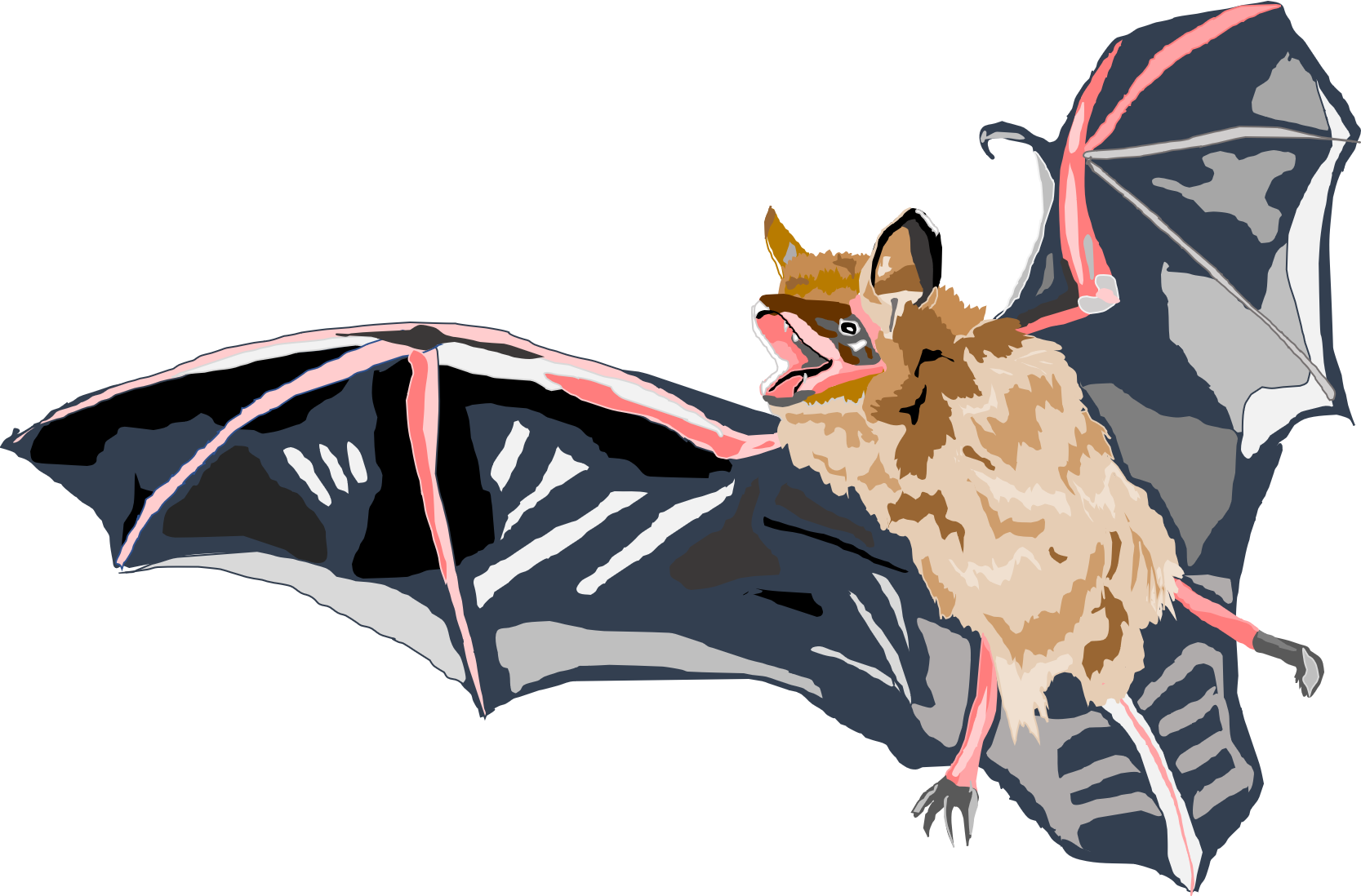 International Bat Appreciation Day: Giving thanks to the real ...