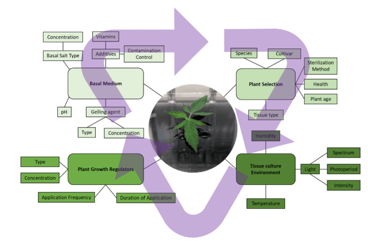 Rainbow Research: Harmony – Methods Blog