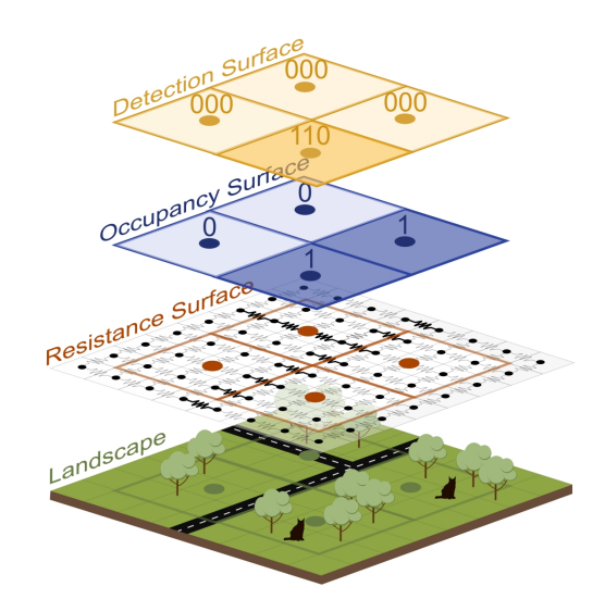 Tackling uncertainty in landscape connectivity – Methods Blog