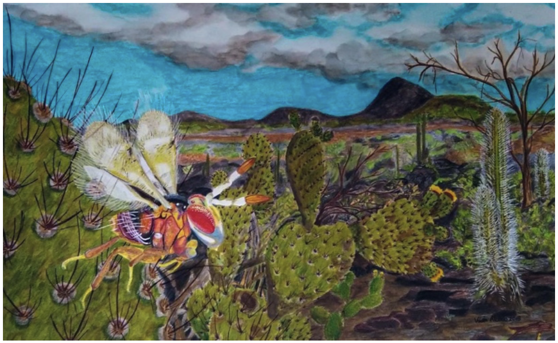 From the Field to Museums: Uncovering the Hidden Insect World of the ...