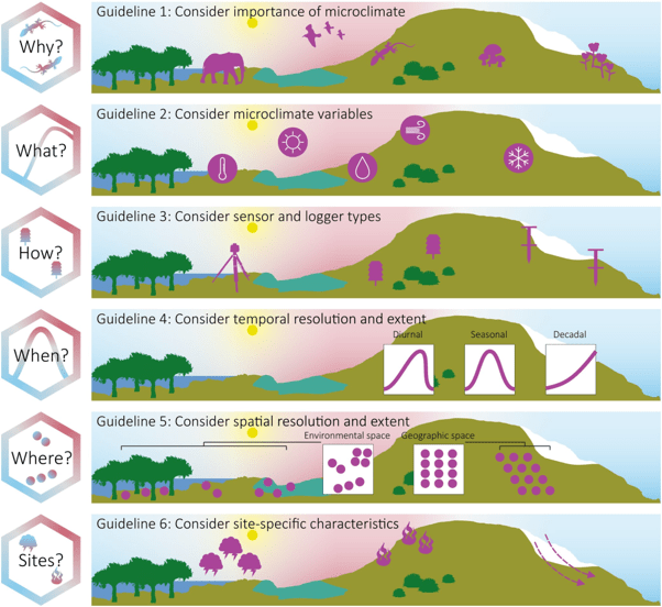 Ten practical guidelines for microclimate research in terrestrial ...