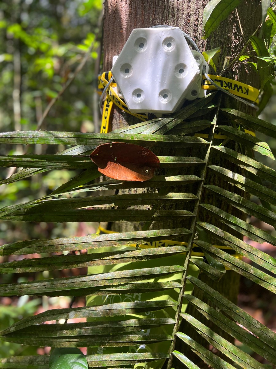 Becky Heath: Spatial ecosystem monitoring with a Multichannel Acoustic ...