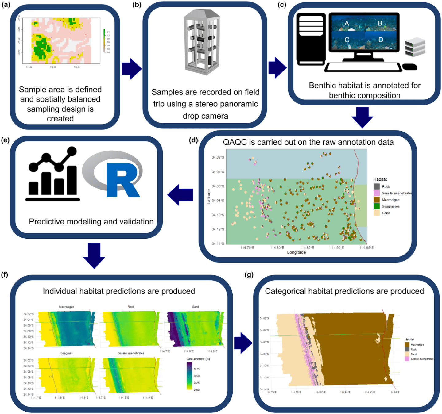 Expanding Our View: The Benthic Observation Survey System (BOSS ...